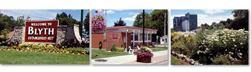 Collectivités en fleurs - Participants